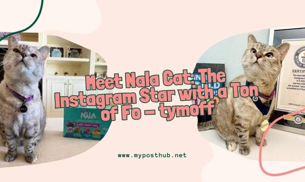 Meet Nala Cat: The Instagram Star with a Ton of Fo - tymoff - Myposthub