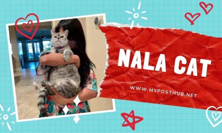 Meet Nala Cat: The Instagram Star with a Ton of Fo - tymoff - Myposthub